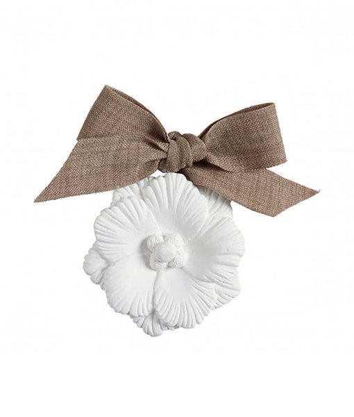 Bloom Creative - Produtos